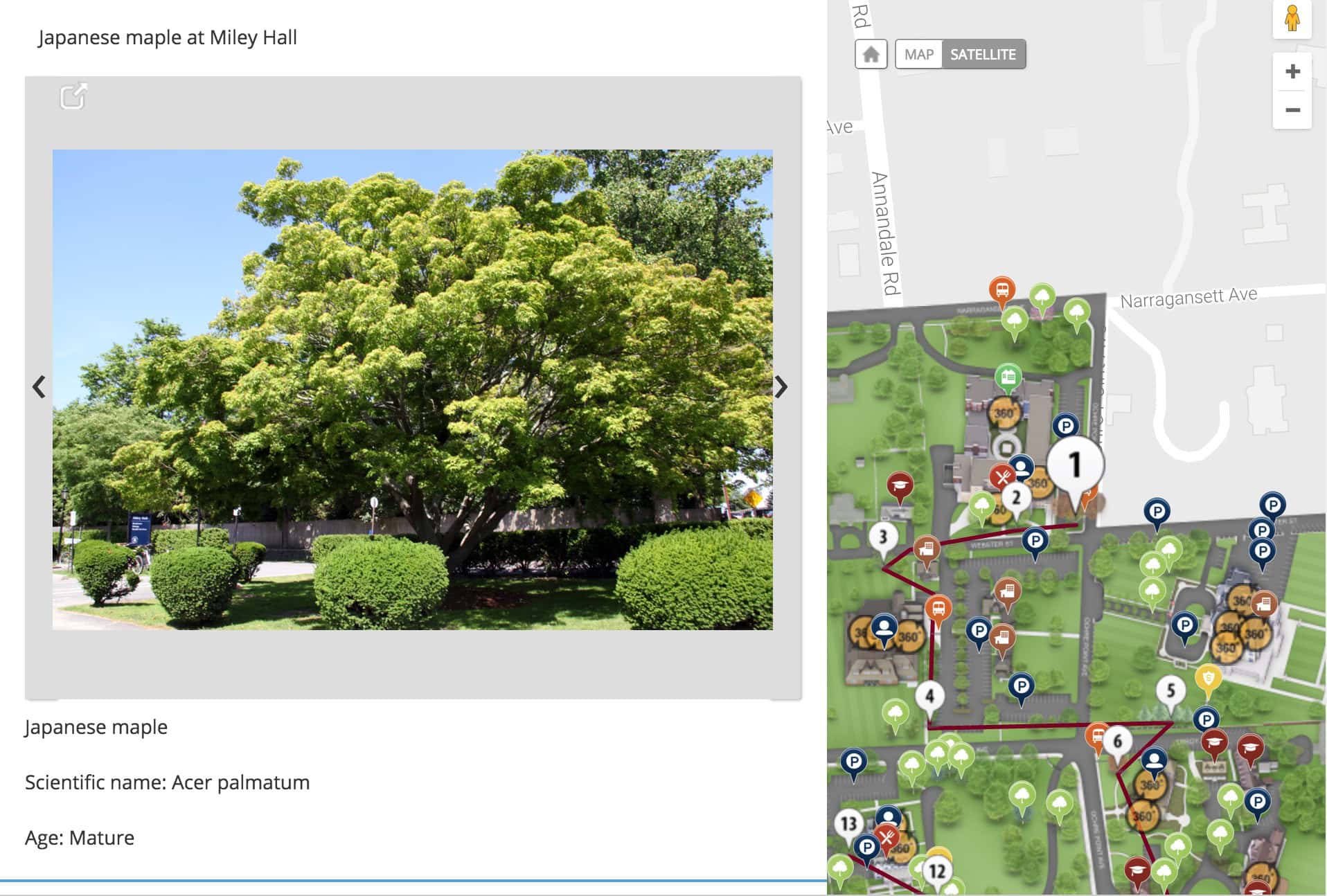 Use Interactive Maps to Highlight Biking and Walking Paths - Concept3D
